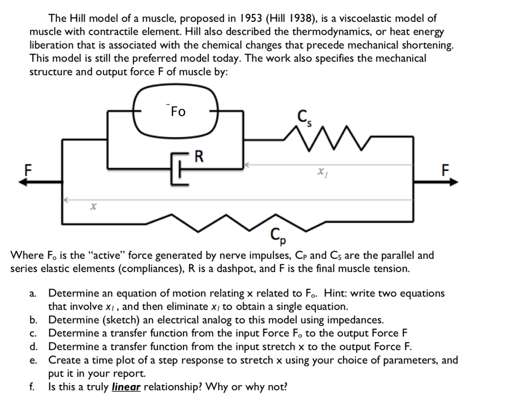 The Hill model of a muscle, proposed in 1953 (Hill | Chegg.com