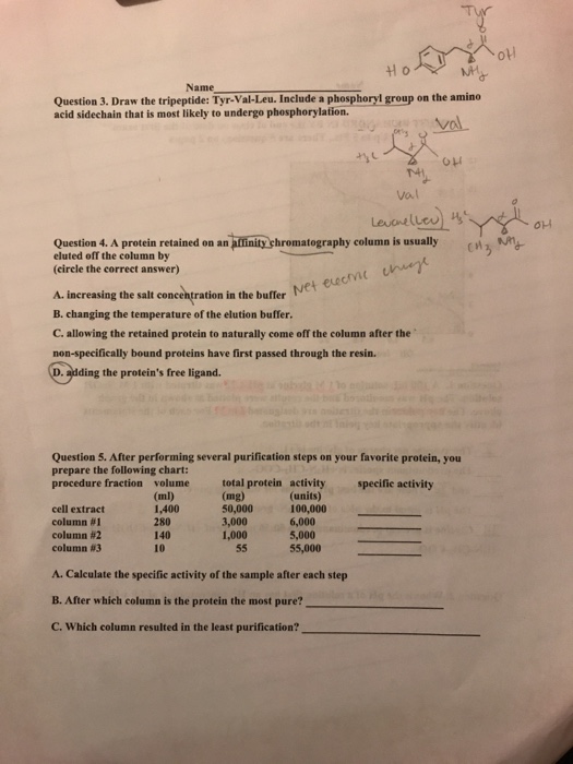 Solved It’s biochem course. | Chegg.com