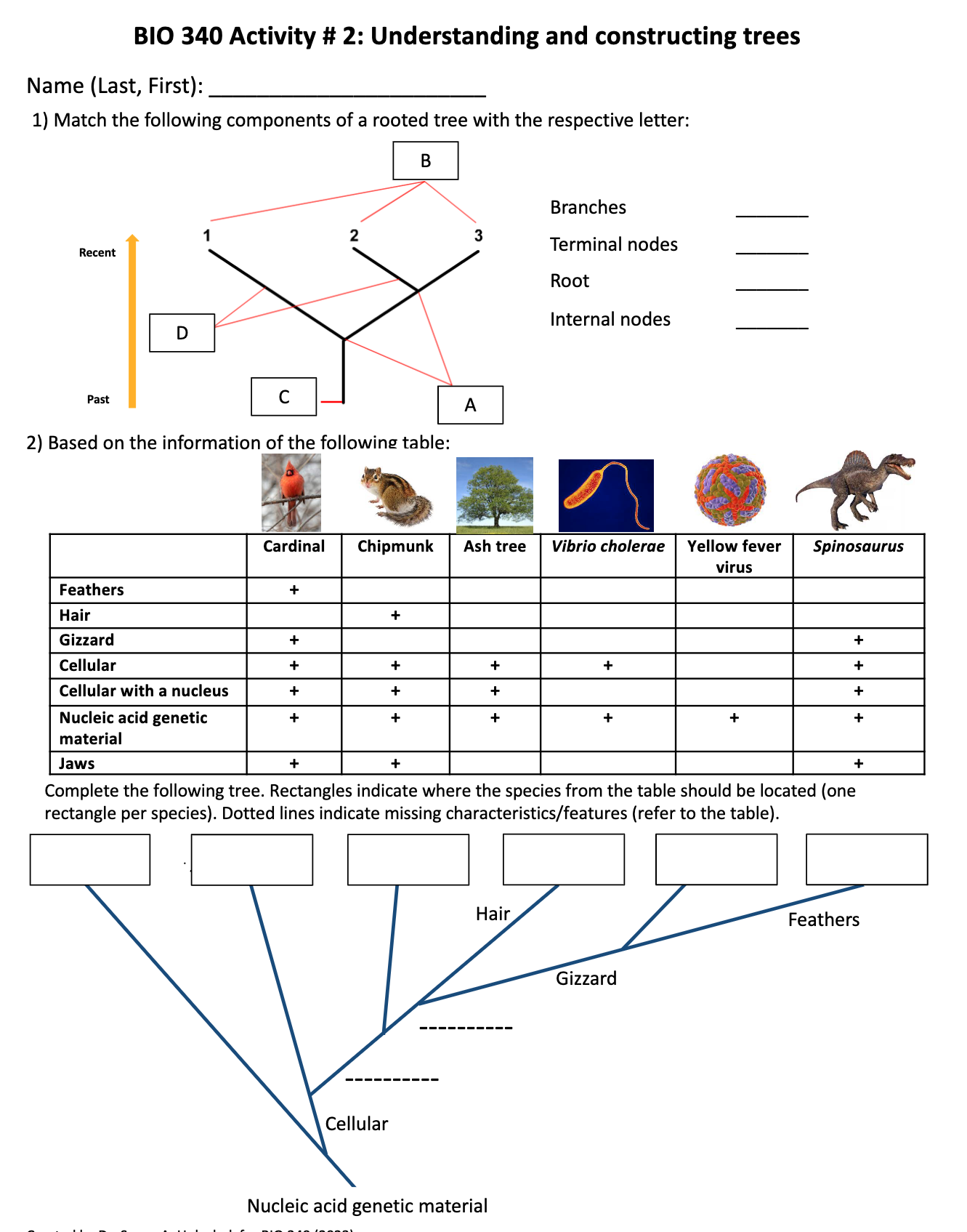 Solved BIO 340 Activity \# 2: Understanding and constructing | Chegg.com