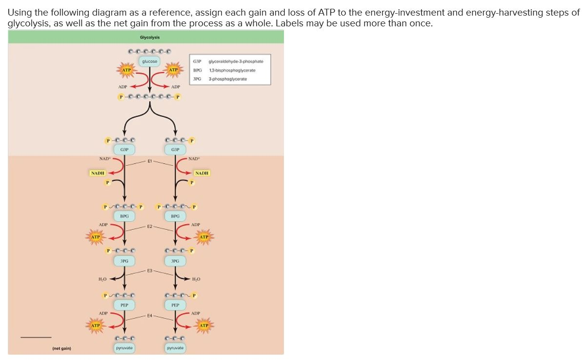 Solved Using the following diagram as a reference, assign | Chegg.com