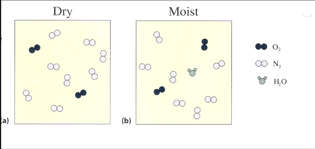 Solved Considering the relationship between the density of | Chegg.com