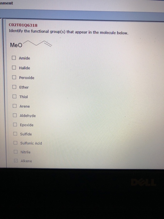 Solved nment CO2T01Q6318 Identify the functional group(s) | Chegg.com