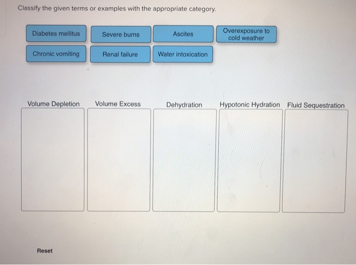 Solved Classify the given terms or examples with the | Chegg.com Solved Classify the given terms or examples with the | Chegg.com