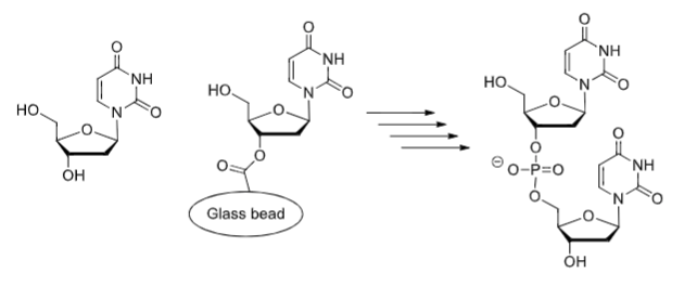 Solved Draw out a full synthesis for how the DNA dimer below | Chegg.com