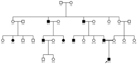 Solved Interpret the inheritance for each of the following | Chegg.com