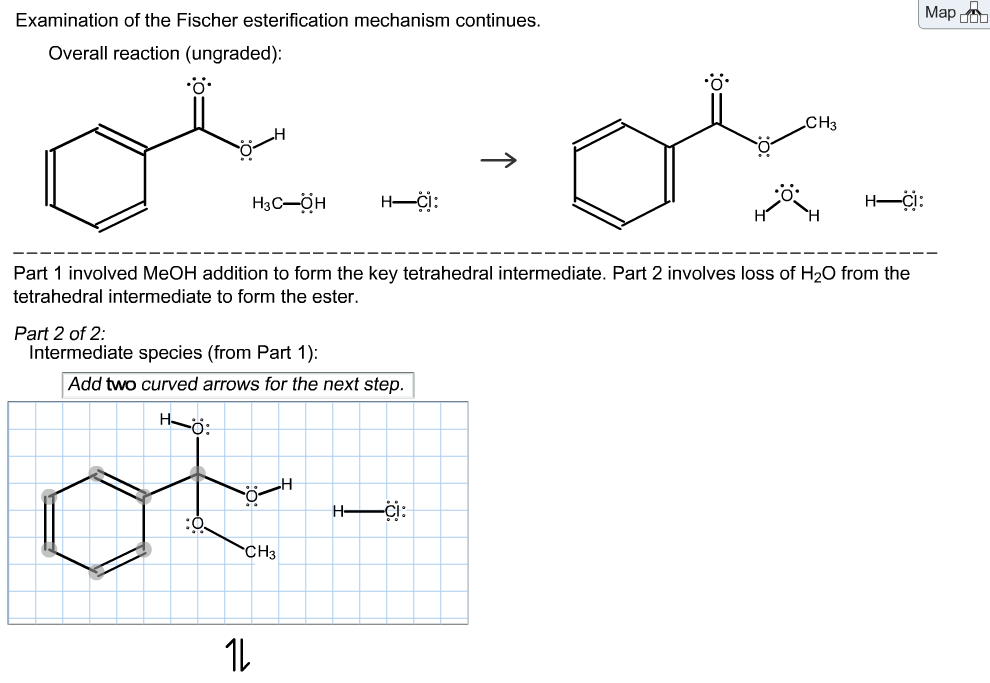 Solved Examination of the Fischer esterification mechanism | Chegg.com