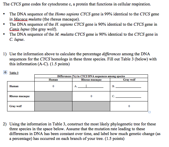 . The CYCS gene codes for cytochrome c, a protein | Chegg.com