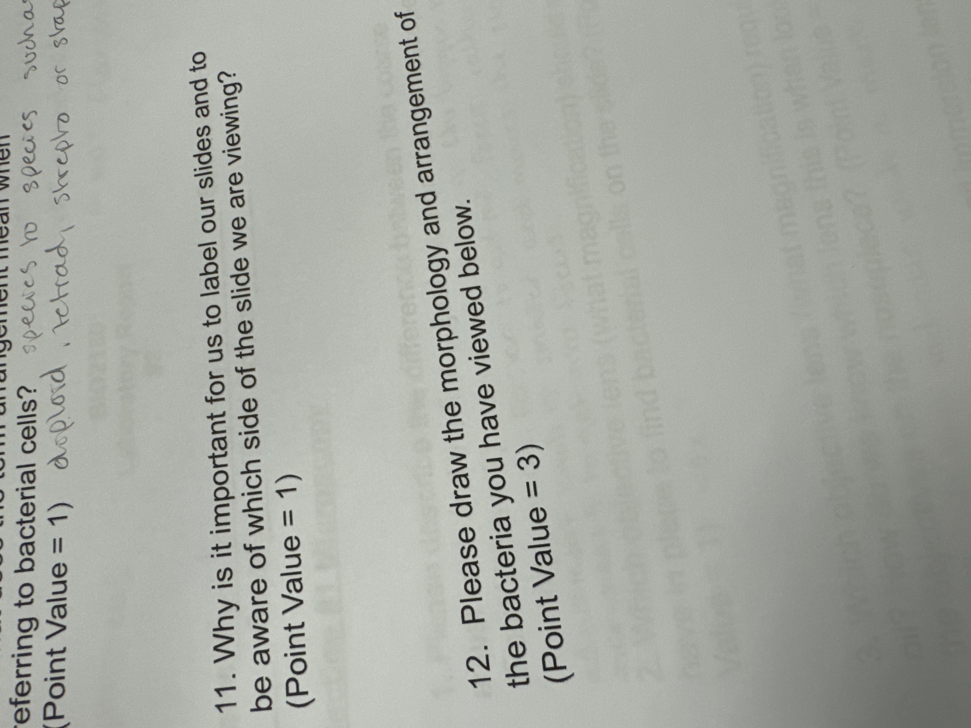 Solved Why is it important for us to label our slides and to | Chegg.com