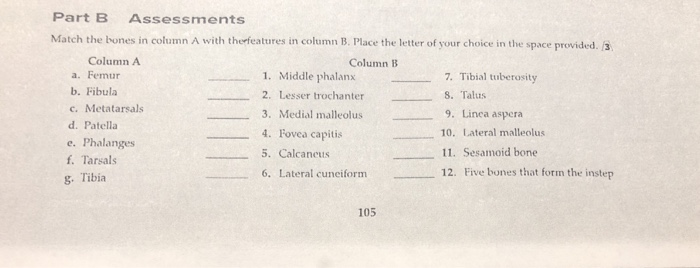 Solved Part B Assessments Match the bones in column A with | Chegg.com