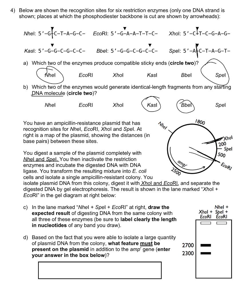 Solved For number 4,i know the answer but can you explain | Chegg.com