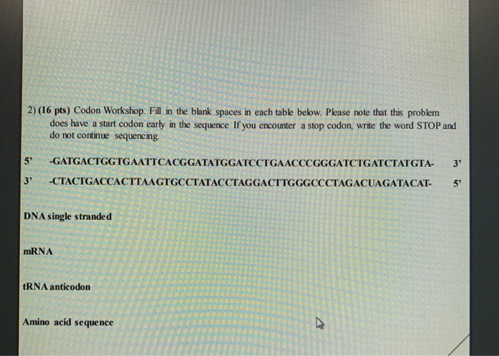 Solved 2) (16 pts) Codon Workshop. Fill in the blank spaces | Chegg.com