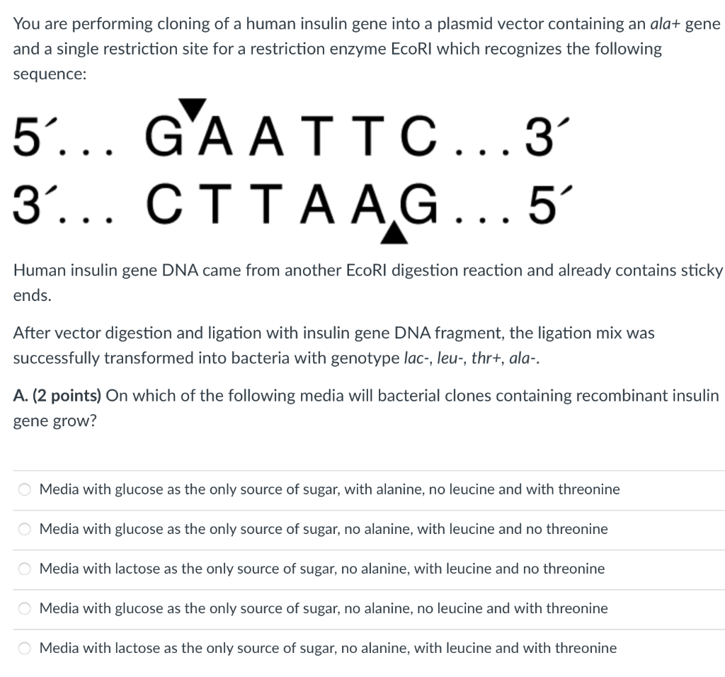 Solved You are performing cloning of a human insulin gene | Chegg.com