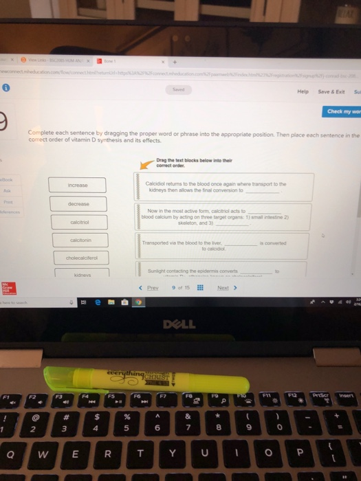 Help Save&ExitSu Check my wor Complete each sentence | Chegg.com