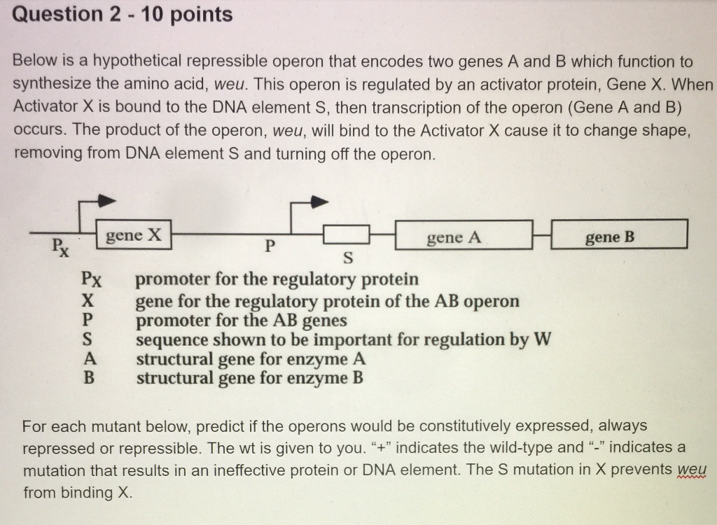 Solved Question 1 - 4 points Explain the role of the | Chegg.com