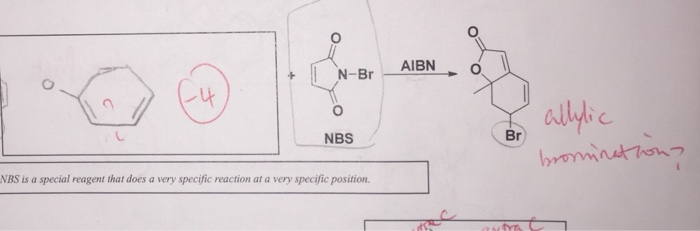 Solved N-Br AIBN NBS Br NBS is a special reagent that does a | Chegg.com