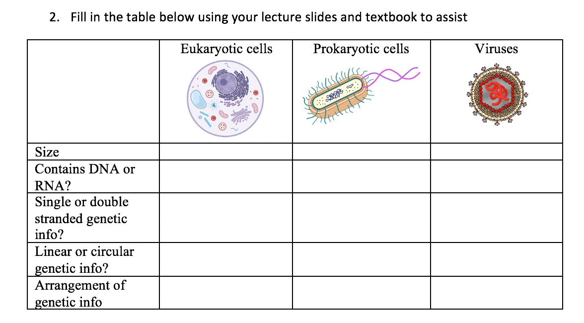 Solved 2. Fill in the table below using your lecture slides | Chegg.com