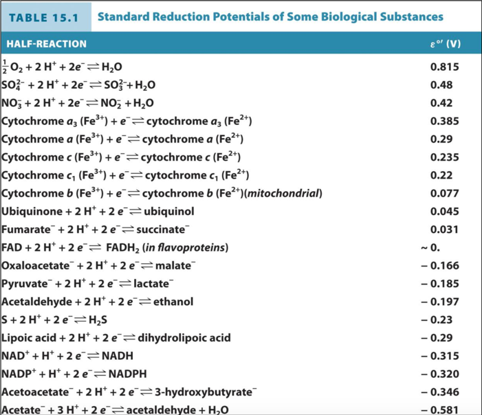 Solved 4. B-oxidation/ketone bodies/fatty acid synthesis A. | Chegg.com