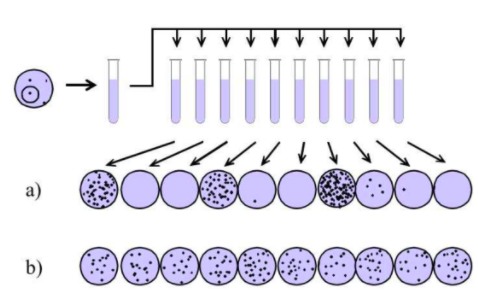 Solved The figure depicts the experimental design of the | Chegg.com