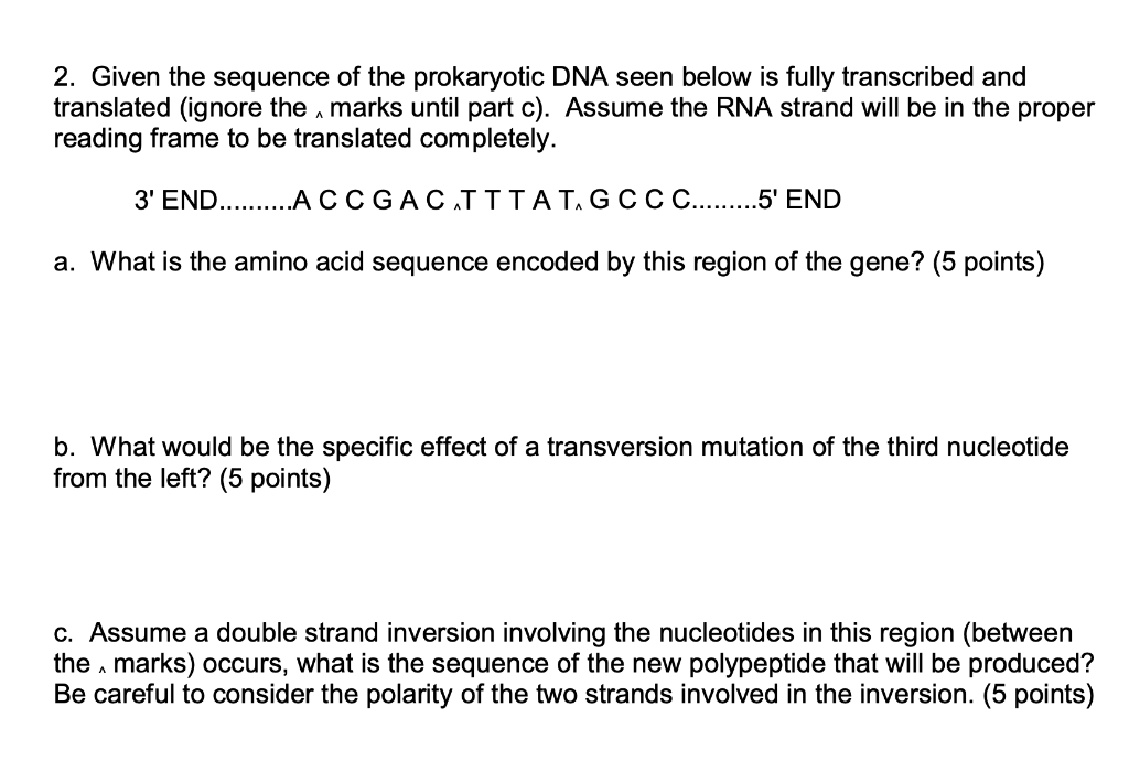 Solved 2. Given the sequence of the prokaryotic DNA seen | Chegg.com
