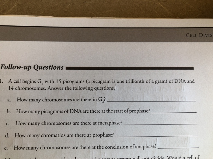 Solved a cell begins G1 with 15 picograms of DNA and 14 | Chegg.com