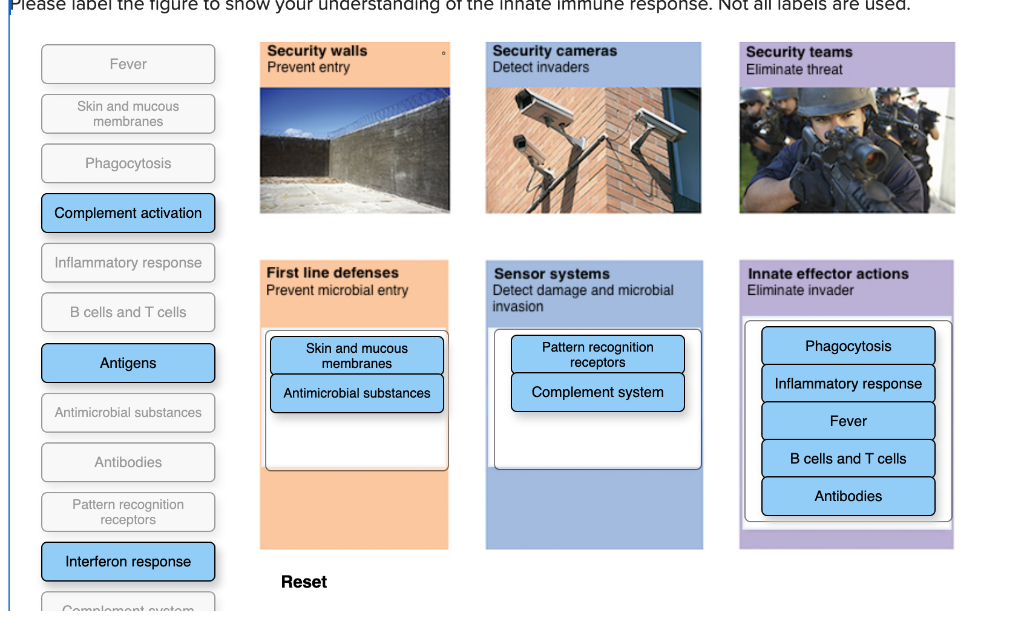 Solved Please label the figure to show your understanding of | Chegg.com