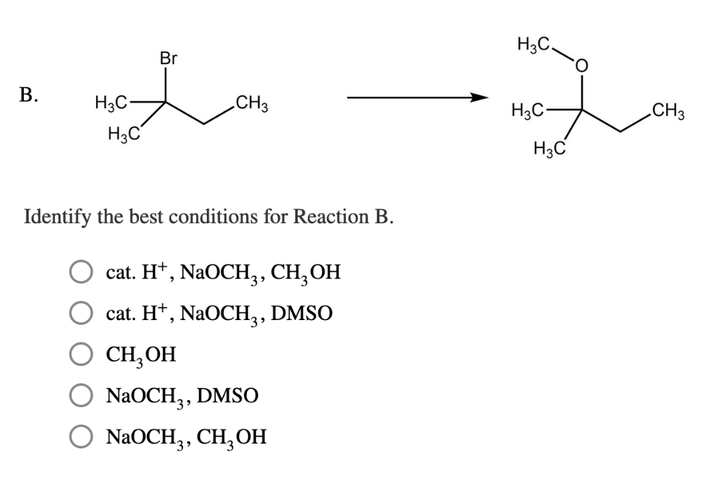 Solved H3C Br B. H3C CH3 H3C CH3 H3C H3C Identify the best | Chegg.com