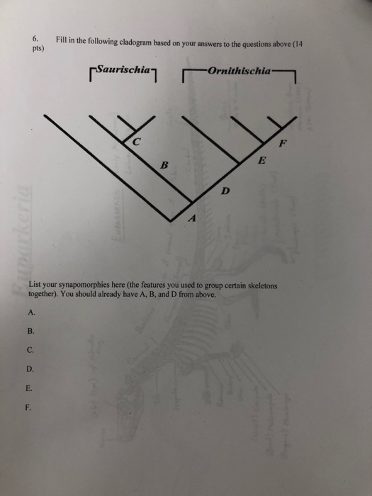 Name: Group members: Ornithischia Saurischia In this | Chegg.com