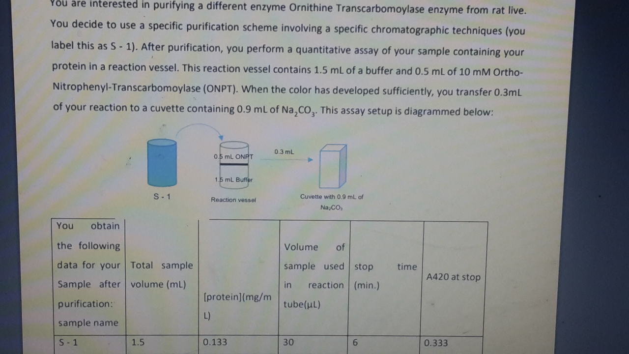 a. Calculate the total activity of the “s - 1” | Chegg.com