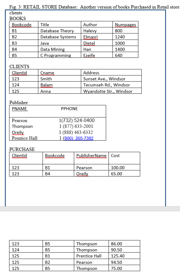 Solved Use the RETAIL STORE database of Fig 3 to answer the | Chegg.com