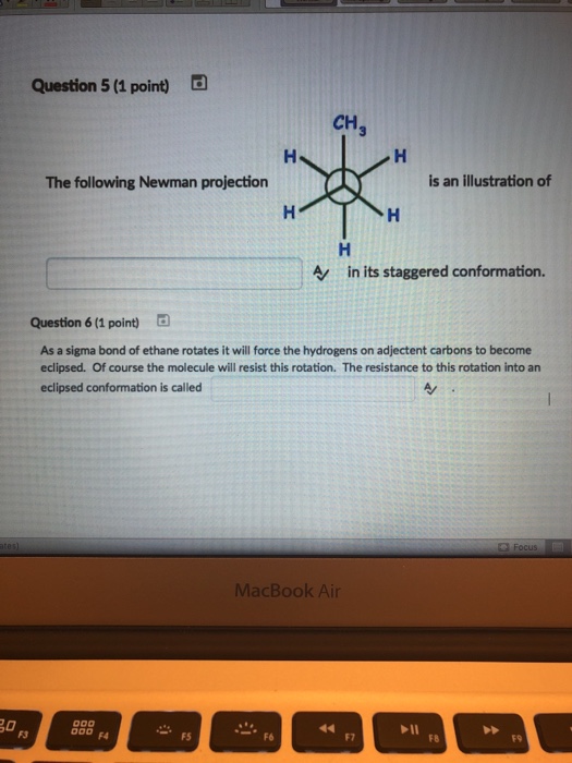 Solved Question 5 (1 point) CH The following Newman | Chegg.com