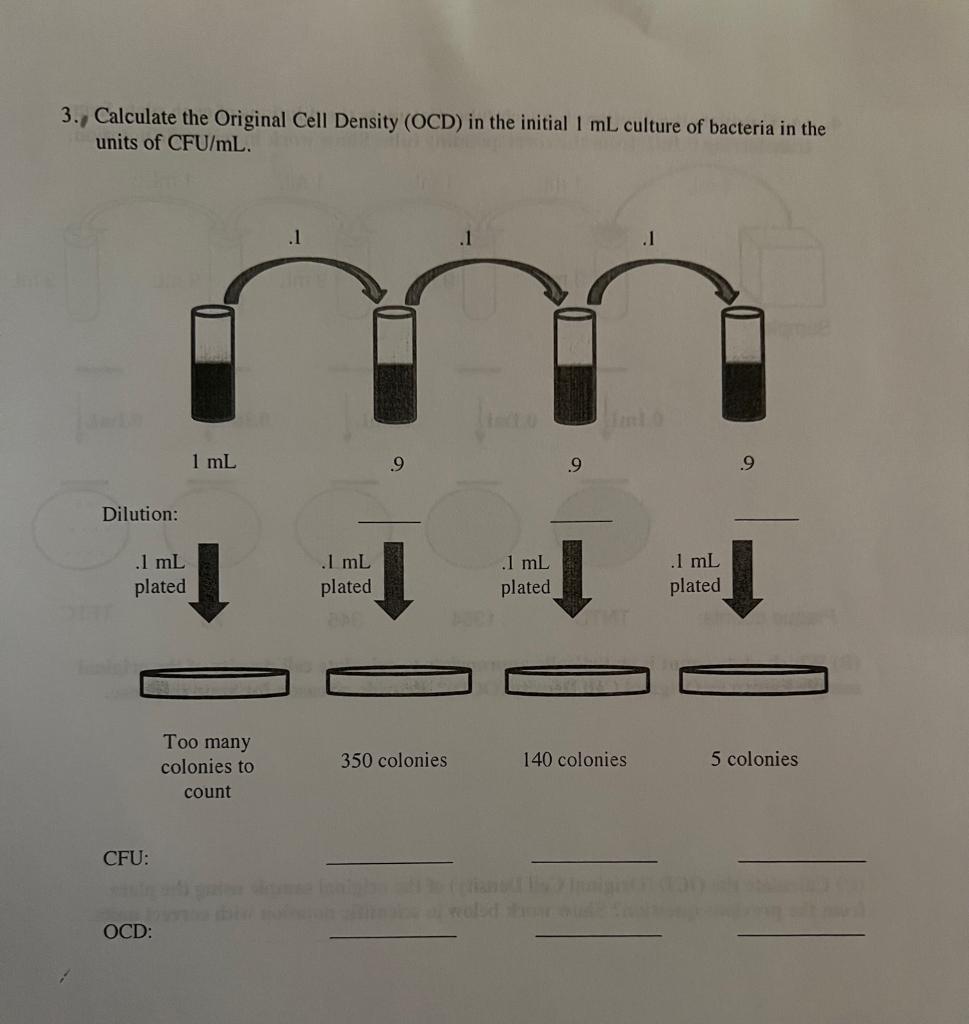 Solved 4 A Calculate The Dilutions For Each Tube