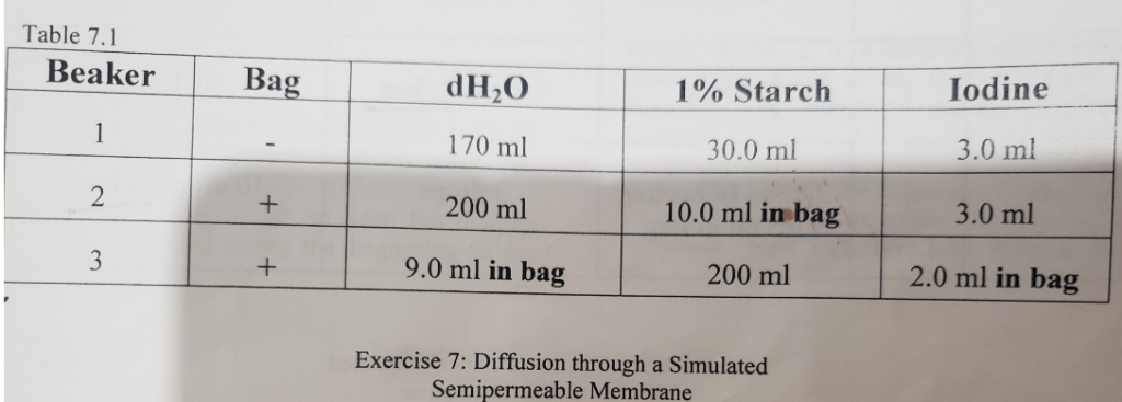 Solved Table 7.1 Iodine Beaker Bag 1% Starch dH2O 30.0 ml | Chegg.com