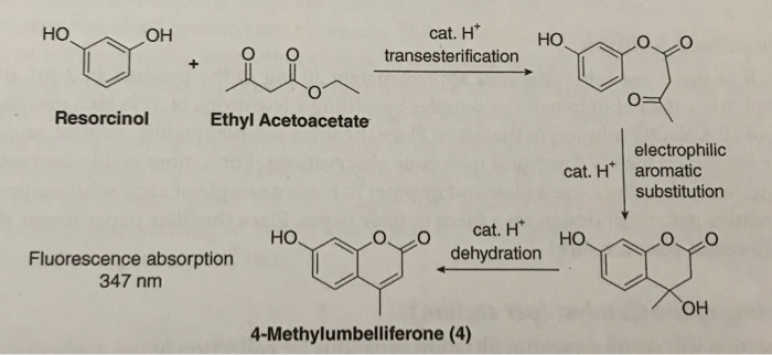 Solved i need help with mechanism based on the given scheme. | Chegg.com