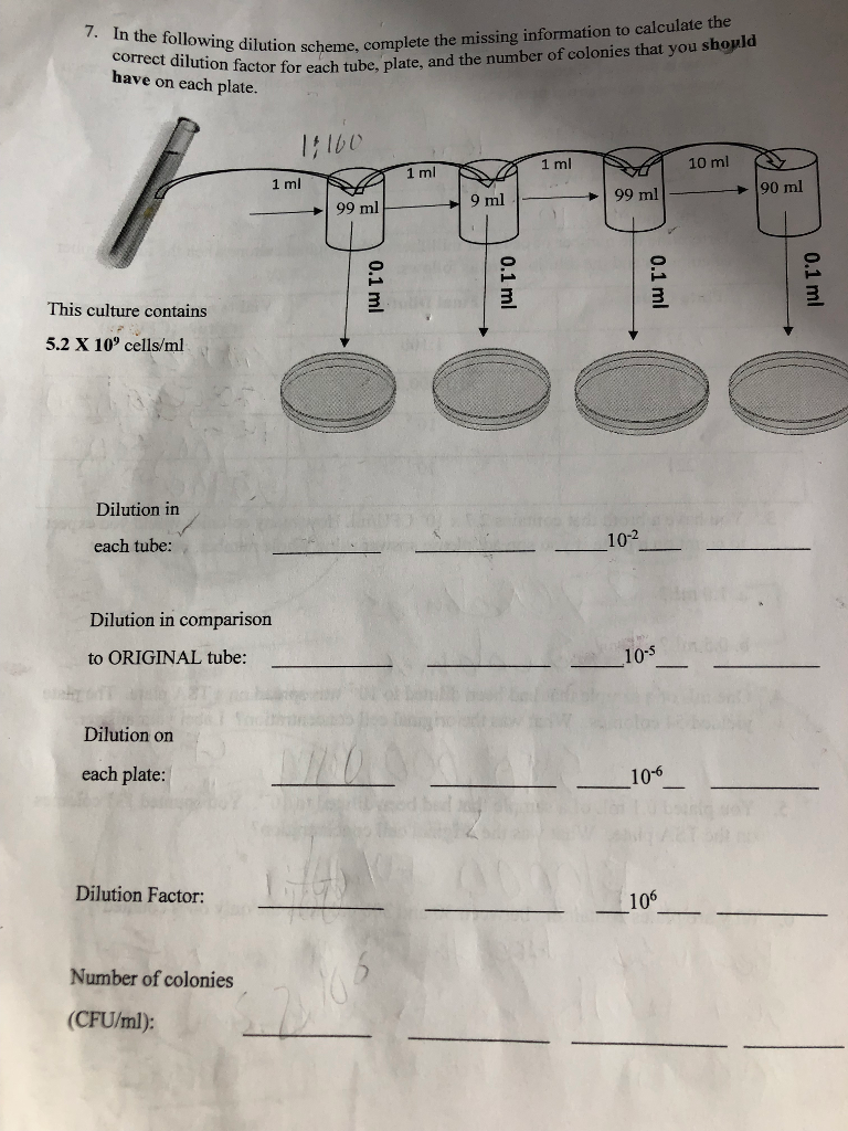 Solved in the following dilution scheme, complete the | Chegg.com