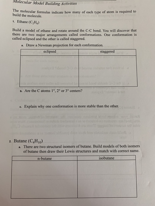 Solved Molecular Model Building Activities The molecular | Chegg.com