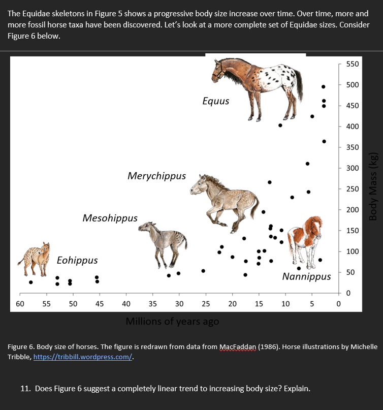 Solved The Equidae skeletons in Figure 5 shows a progressive | Chegg.com