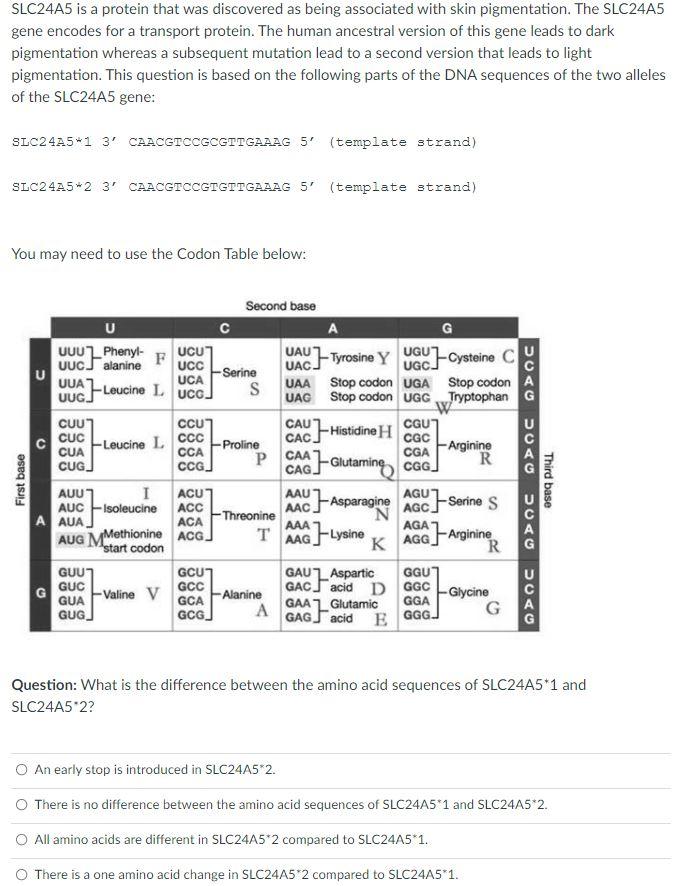 Solved SLC24A5 is a protein that was discovered as being | Chegg.com