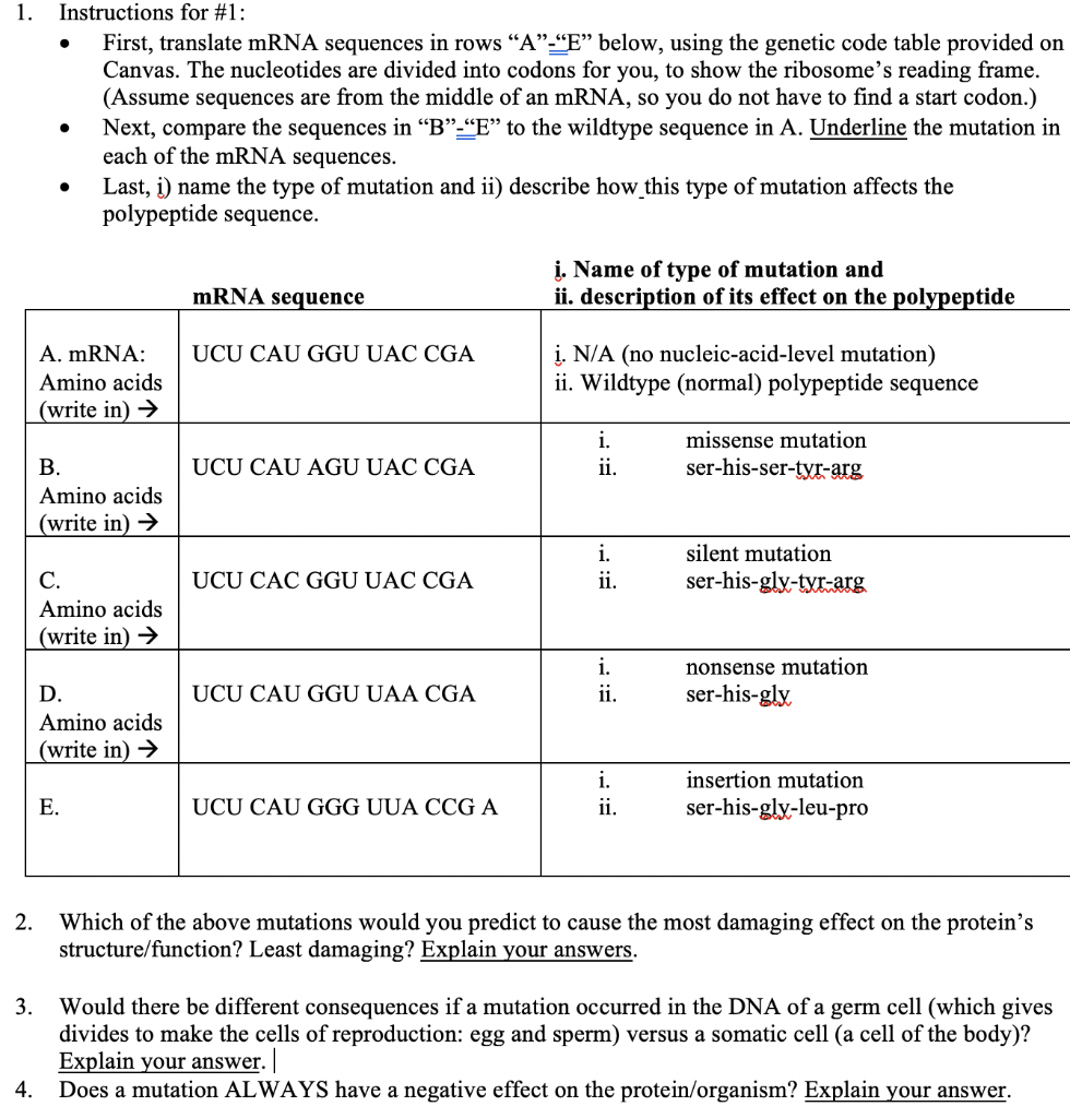 Solved . 1. Instructions for #1: First, translate mRNA | Chegg.com