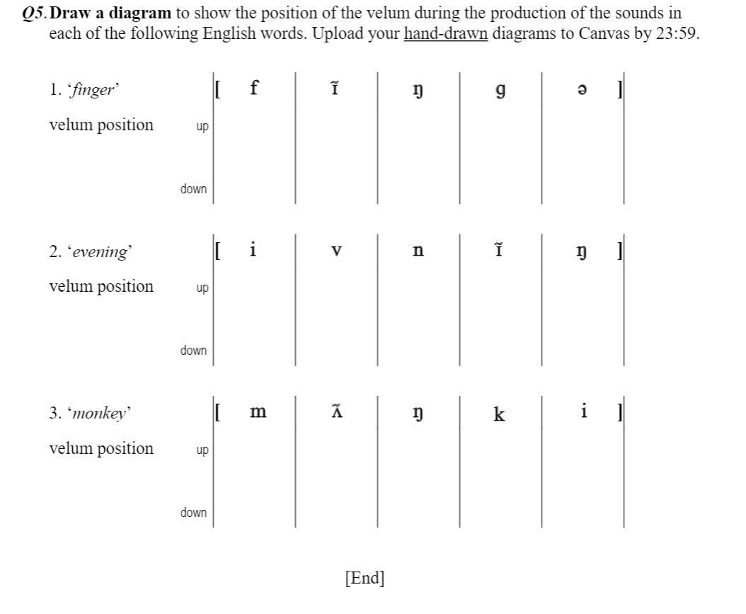 Q5. Draw a diagram to show the position of the velum | Chegg.com