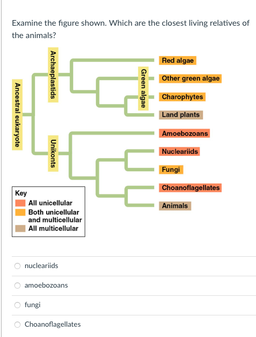 Solved Examine the figure shown. Which are the closest | Chegg.com