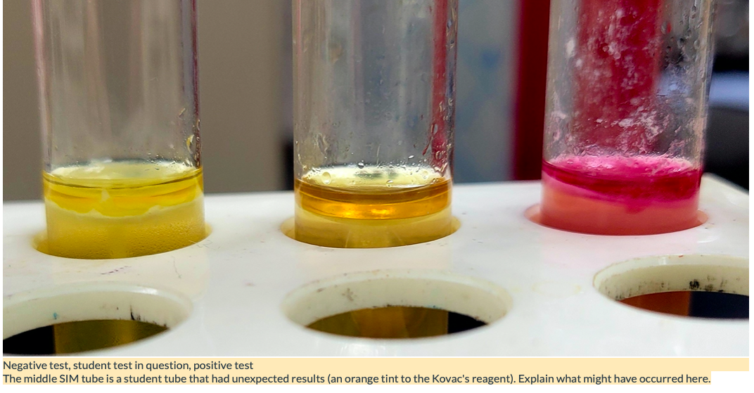 Solved The middle SIM tube is a student tube that had | Chegg.com