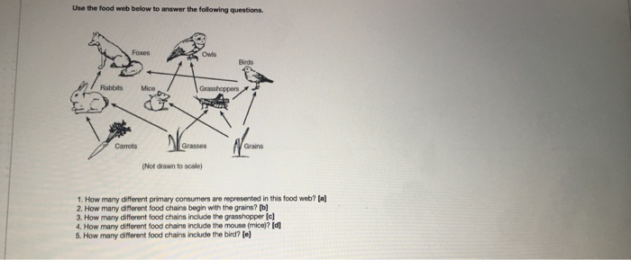 Solved Use the food web below to answer the following | Chegg.com