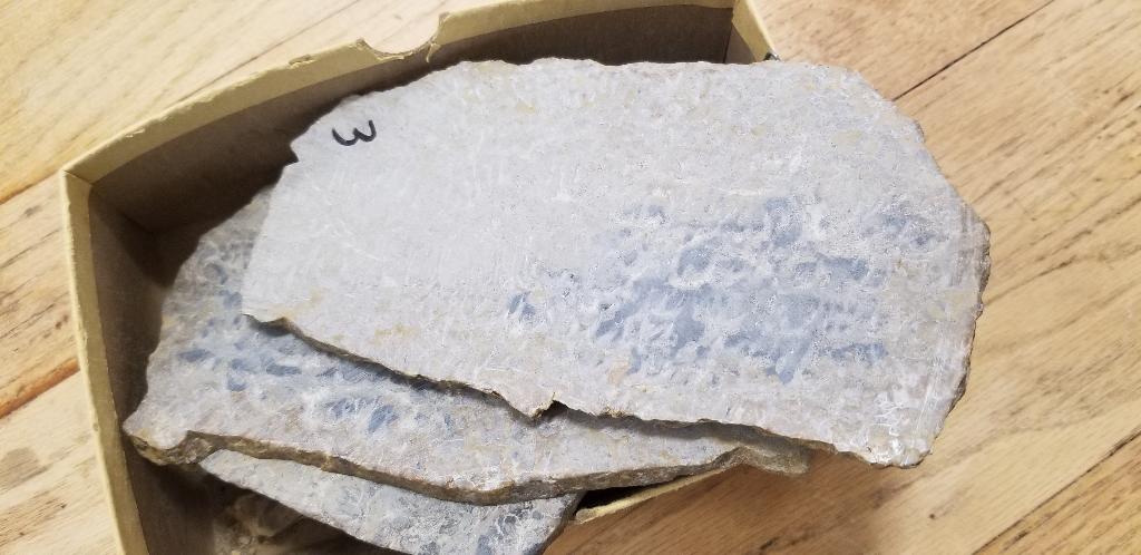 Solved 1)Classify the rock based on dunham and folk | Chegg.com