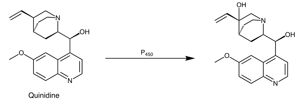 Solved Draw out the structures of the below-proposed | Chegg.com