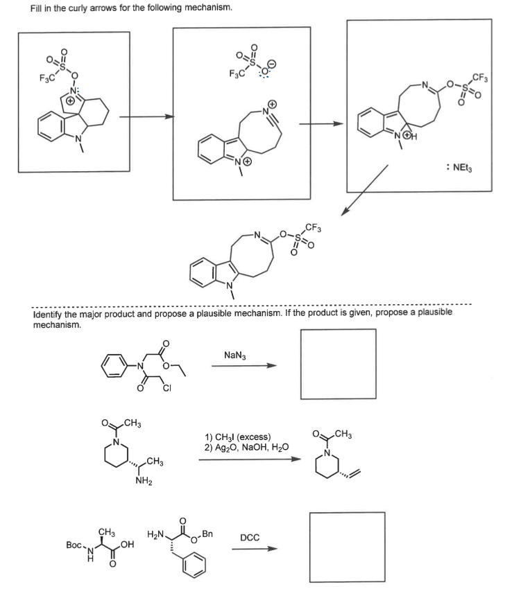 Solved Show me the steps to solve this mechanism with arrows | Chegg.com