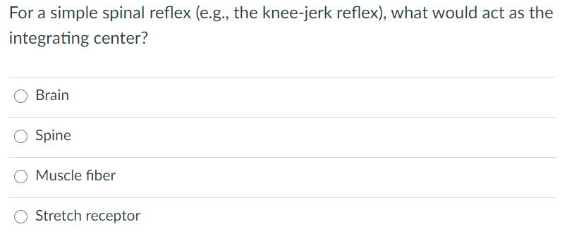 Solved For a simple spinal reflex (e.g., the knee-jerk | Chegg.com