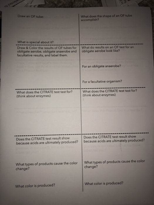 What are the three color possibilities for results on | Chegg.com