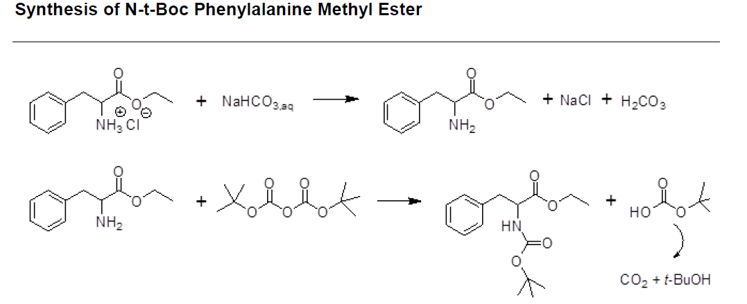 Solved This question is regarding Synthesis of | Chegg.com