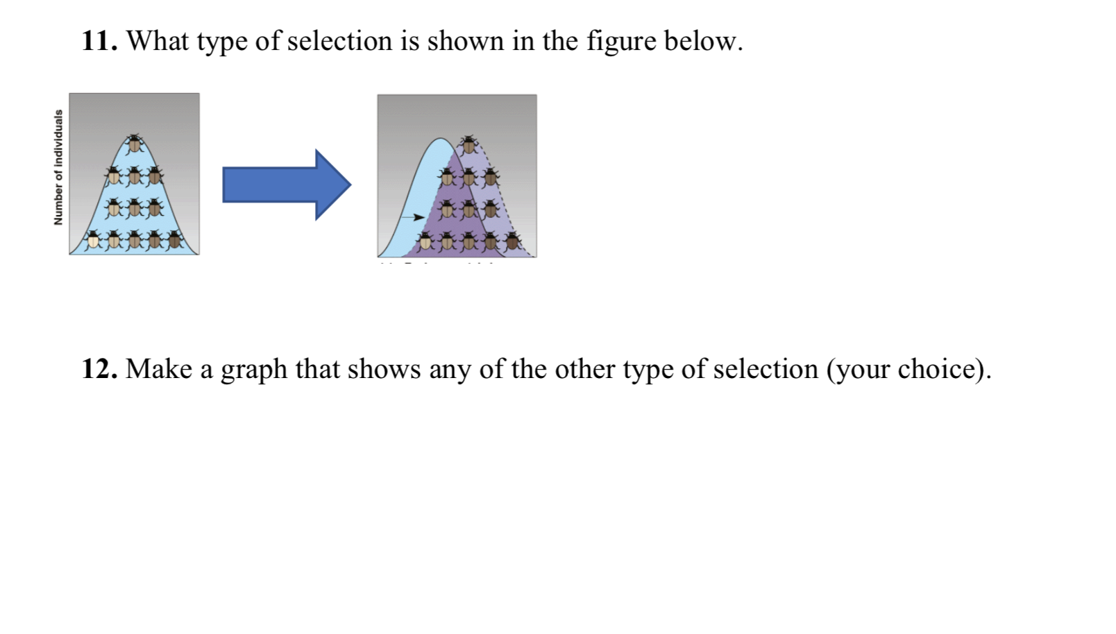 Solved 11. What Type Of Selection Is Shown In The Figure