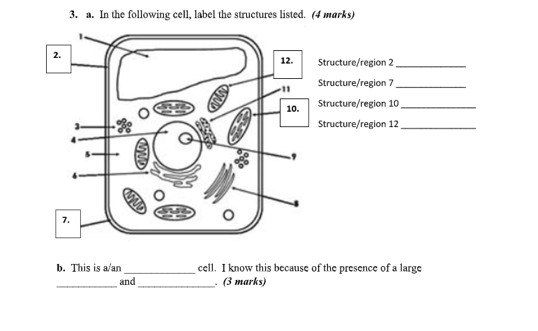 Solved 3. a. In the following cell, label the structures | Chegg.com